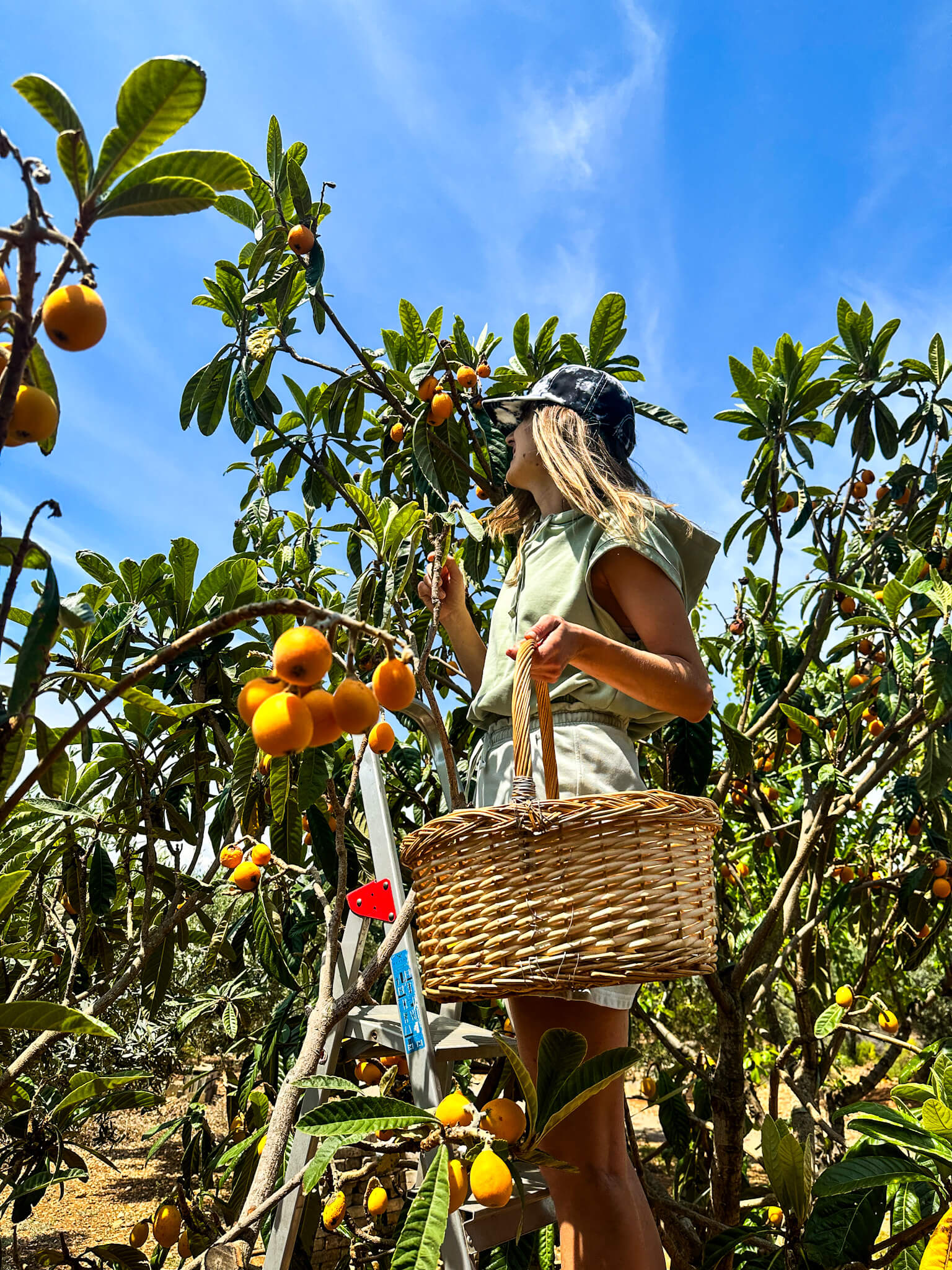 Fruits in Spain: Your Ultimate Seasonal Guide - Viva Spanish Kitchen